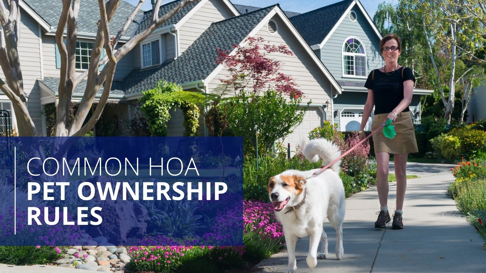 Common HOA Pet Ownership Rules | Management Plus
